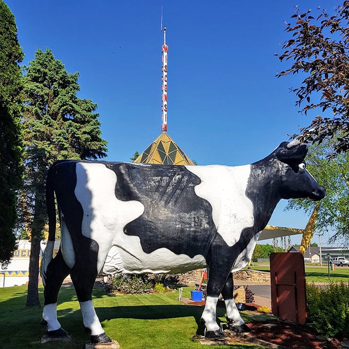 In profile, Chatty Belle's impressive stature becomes even more apparent. She's like the Statue of Liberty of dairy, minus the torch, plus udders.