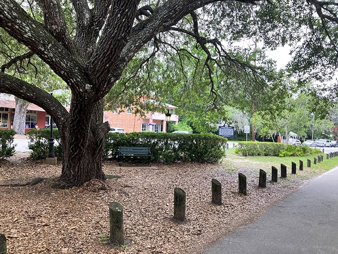 A centuries-old oak tree stands guard over Micanopy's town square, offering shade that's been cooling Floridians since before air conditioning was a dream.