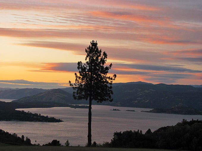 Nature's own sunset show over Clear Lake outperforms any streaming service. That lone pine standing sentinel deserves its own credit in this daily masterpiece.
