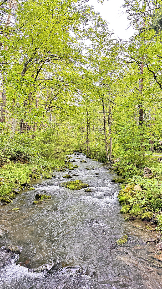 Mother Nature's version of a meditation app. This crystal-clear stream offers better stress relief than anything you'll find in the App Store.