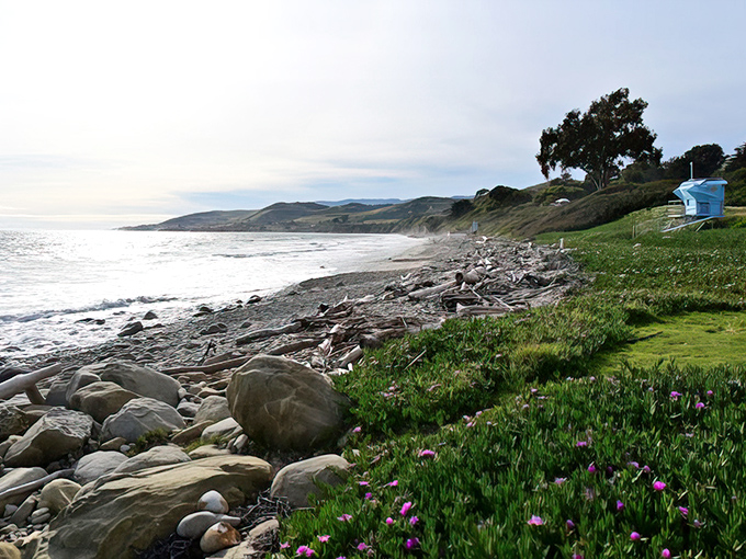 Where wildflowers and wilderness meet the endless blue. El Capit&aacute;n's coastline stretches out like California's finest welcome mat.
