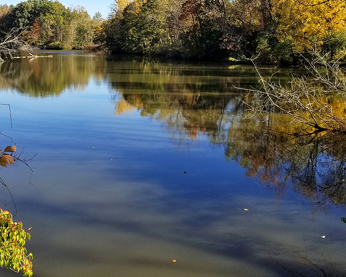 Autumn transforms Cobey Park into a painter's palette of gold and amber, reflecting perfectly in waters undisturbed by big-city chaos.