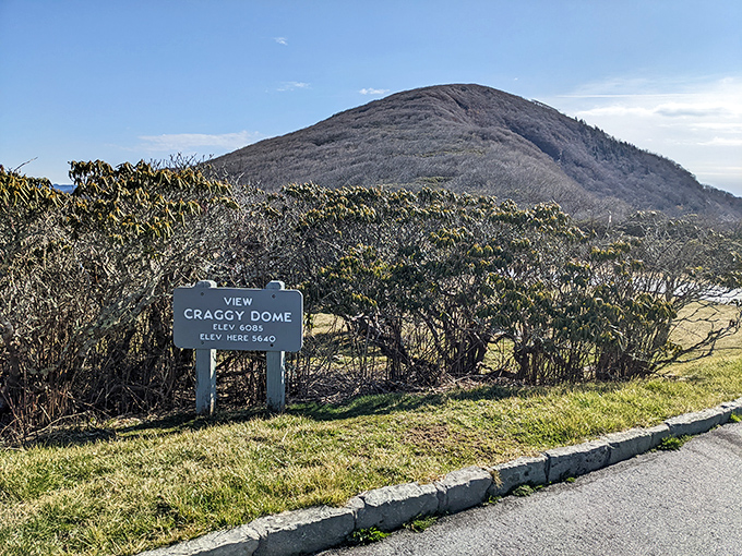 The unassuming sign that marks the spot where jaws routinely drop and smartphone storage gets filled to capacity.