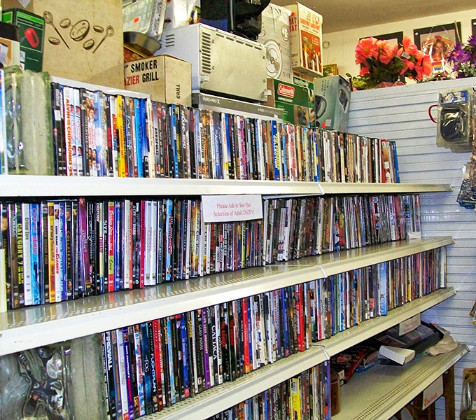 A cinephile's dream library where forgotten blockbusters and cult classics sit shoulder to shoulder, waiting for their encore screening in your living room.