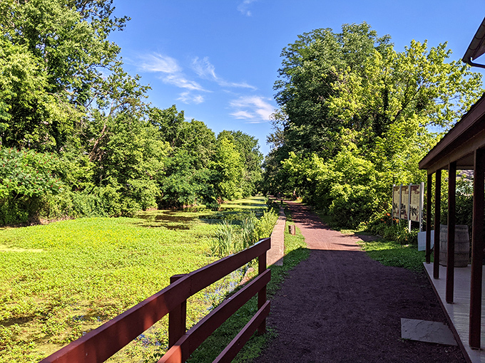 Nature's boardroom meeting is always in session along these peaceful Delaware Canal State Park pathways.