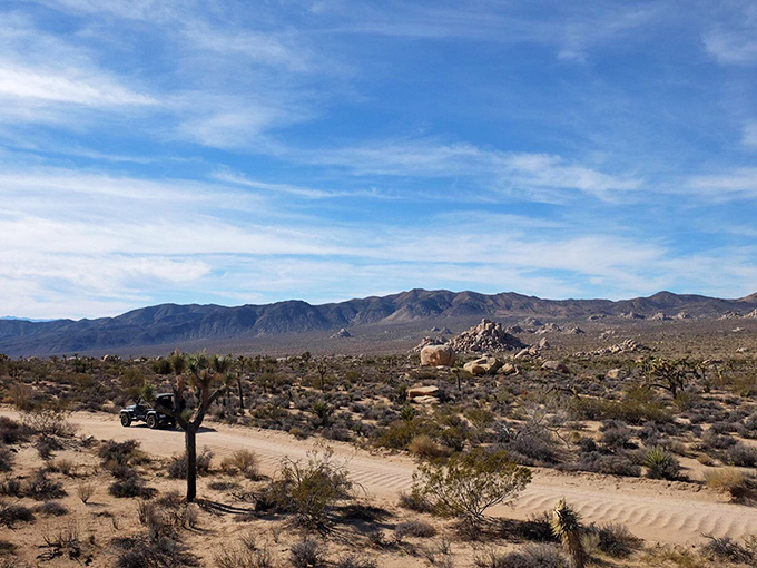 Where the horizon meets possibility. The sandy path cutting through this vast landscape makes you feel like you're driving through a painting that's still being created.