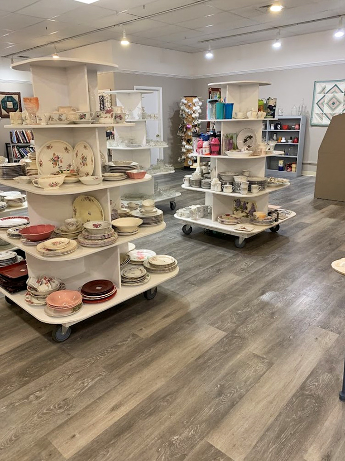 China patterns that outlasted marriages line these shelves, each plate whispering tales of holiday dinners and Sunday roasts gone by.