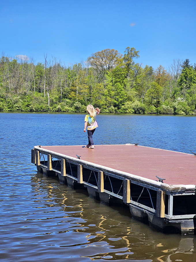 Standing at the edge of possibility. This simple dock invites contemplation and serves as the perfect launching point for adventures across Nockamixon's sparkling waters.