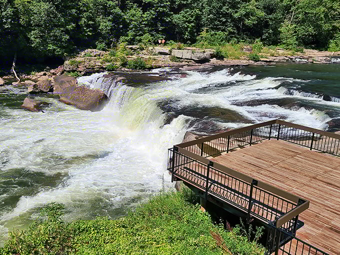 This viewing platform isn't just practical&mdash;it's front-row seating to Mother Nature's most thrilling water show. The Youghiogheny doesn't whisper, it roars.