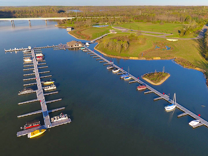 Boats standing at attention like eager students waiting for weekend captains. This marina proves Ohio knows how to do lakeside luxury.