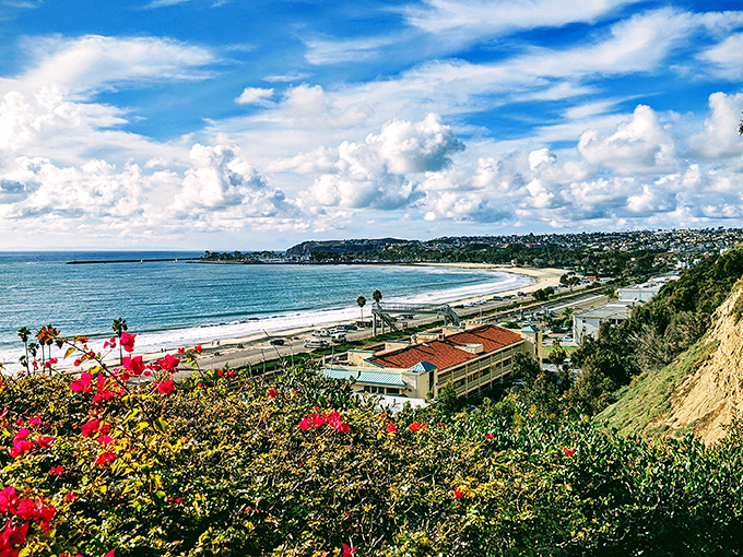 Mother Nature showing off again at Doheny State Beach, where cotton candy clouds frame turquoise waters and golden sands in a view that never gets old.