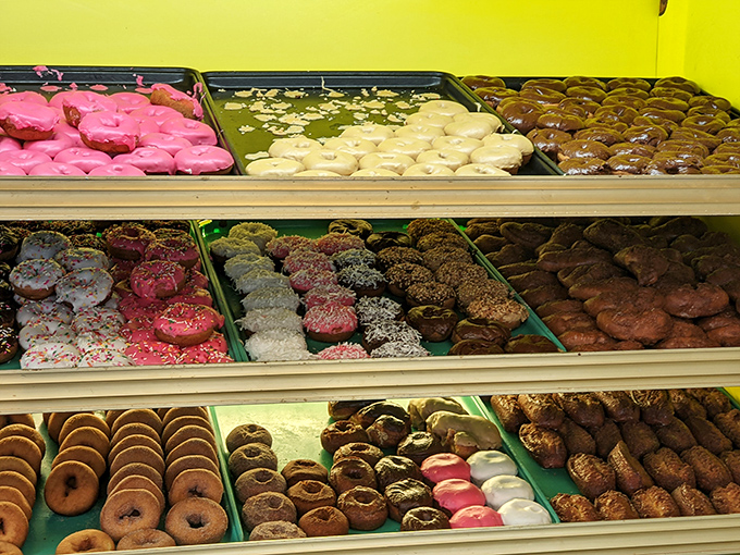 Donut democracy in action: from sprinkles to chocolate, from glazed to filled, every sweet preference finds representation in this delicious display case.
