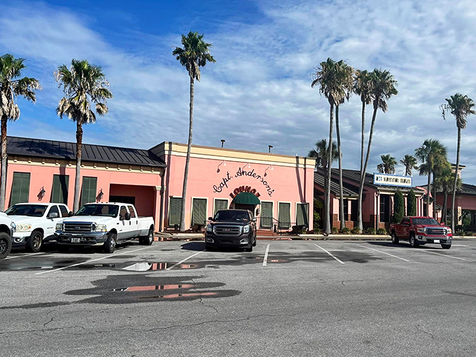 Pastel-colored buildings and swaying palms create that laid-back Florida vibe where "rush hour" means getting to happy hour on time.