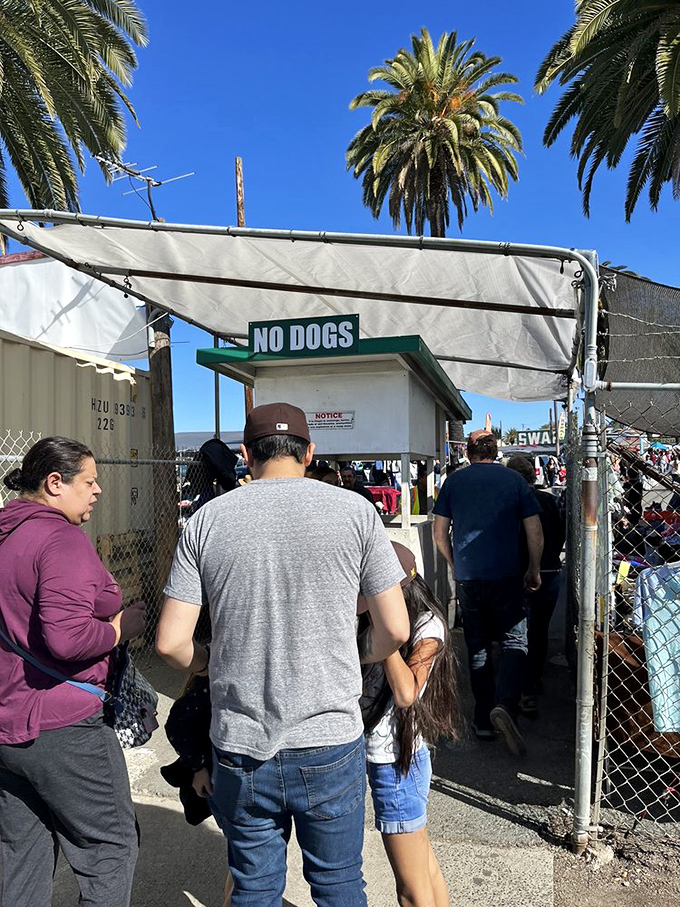 "No Dogs" warns the entrance sign, though you'll find plenty of other companions inside: fellow bargain hunters, colorful vendors, and the ghosts of impulse purchases past.