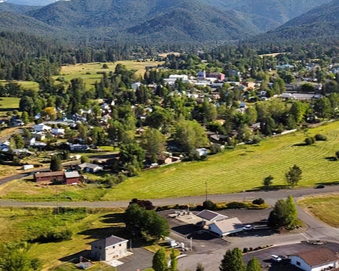 Scott Valley unfolds like a patchwork quilt beneath the mountains. From this vantage point, stress seems like a foreign concept.