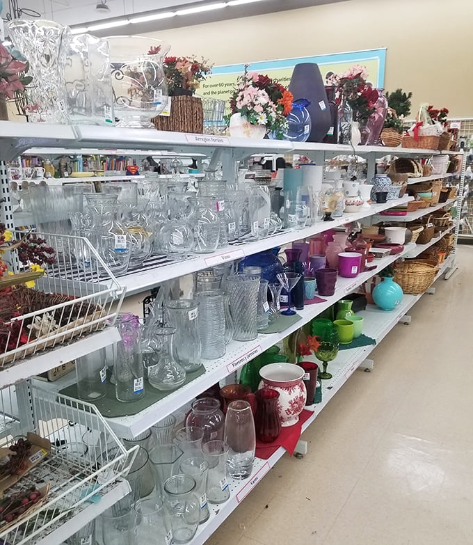 Crystal vases and colorful ceramics await their second act, like Broadway understudies ready for their moment to shine.