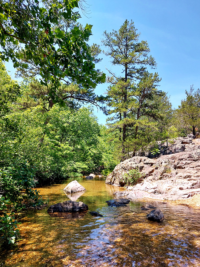 Sunlight dapples through the trees, creating nature's stained glass above gentle waters. The Ozarks' version of a meditation app.