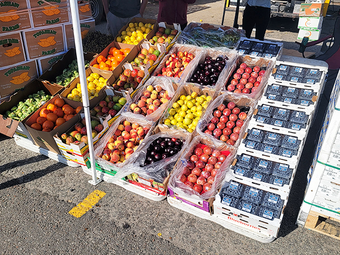 Fruit box tetris at its finest. Each crate offers a different sweet promise&mdash;ruby cherries, golden peaches, and blueberries that could make any pancake weep with joy.