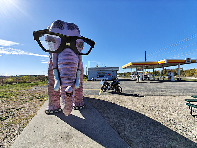 Front and center at the Shell station, this pink sentinel has greeted more road-trippers than a "Welcome to Wisconsin" sign.