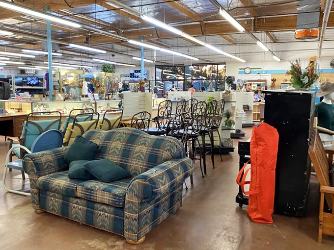 The furniture section &ndash; where that plaid loveseat could be ironic statement piece or nostalgic comfort, depending entirely on your decorating philosophy.