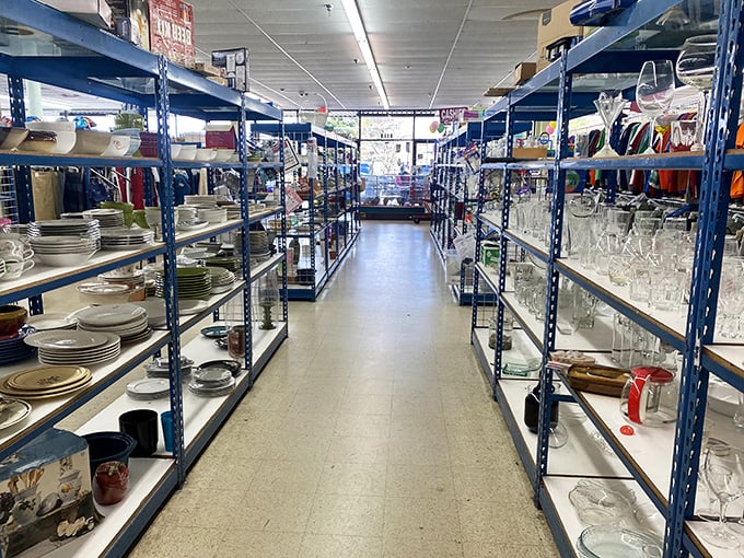 The dishware aisle stretches toward infinity, where your grandmother's china pattern patiently waits to be rediscovered and loved again.