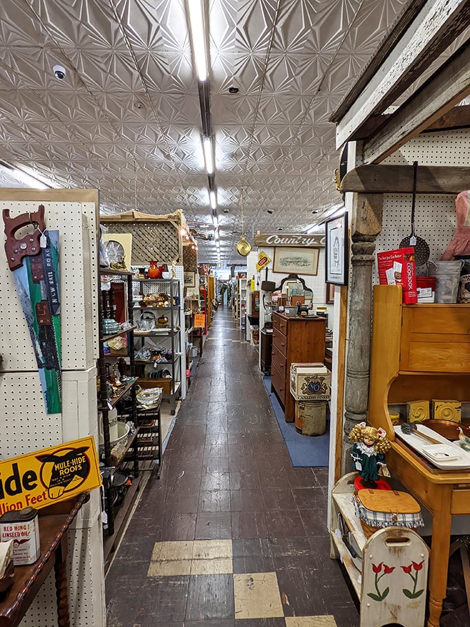 That pressed tin ceiling has witnessed decades of "I don't need it, but I NEED it" moments in these seemingly endless aisles of possibility.