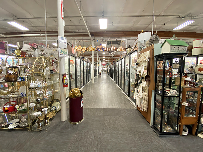 Endless aisles stretch toward the horizon like a time-traveler's highway, each glass case a window into another decade.