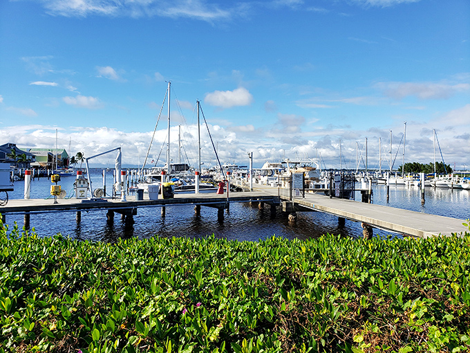 Boat envy is a real condition here. The marina offers endless opportunities for water-based adventures or simply admiring vessels that cost more than your first house.