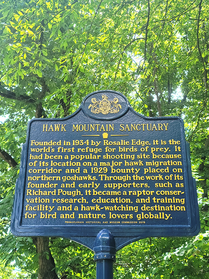 History cast in metal. Before Instagram preservationists, there were real-life heroes who saved these skies from becoming empty of wings.