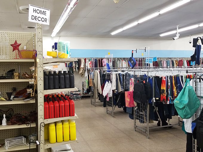 The home decor section: where someone else's "what was I thinking?" becomes your "how did I live without this?" Those colorful containers hold more than liquid—they hold potential.