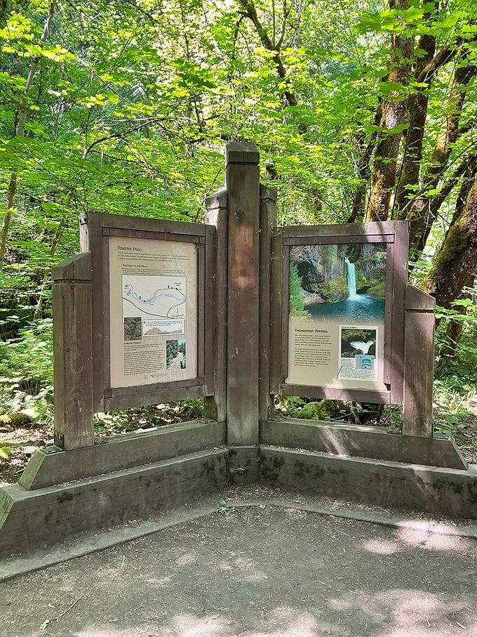 Knowledge before beauty! This trailhead information board offers geological insights that make the upcoming waterfall even more impressive.
