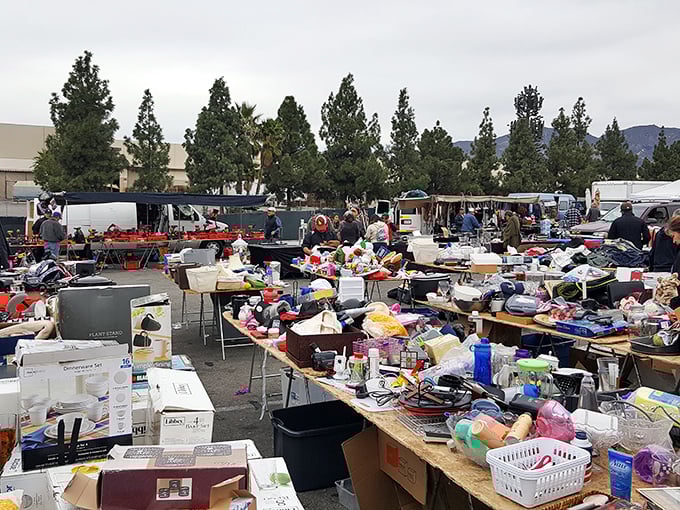 One person's random assortment is another's department store. Tables overflow with everyday items waiting for their "aha!" moment with the right shopper.