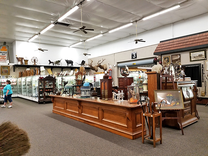 Wooden display cases and mounted wildlife create the perfect backdrop for treasure hunting. That deer head has witnessed countless "I remember when" conversations.
