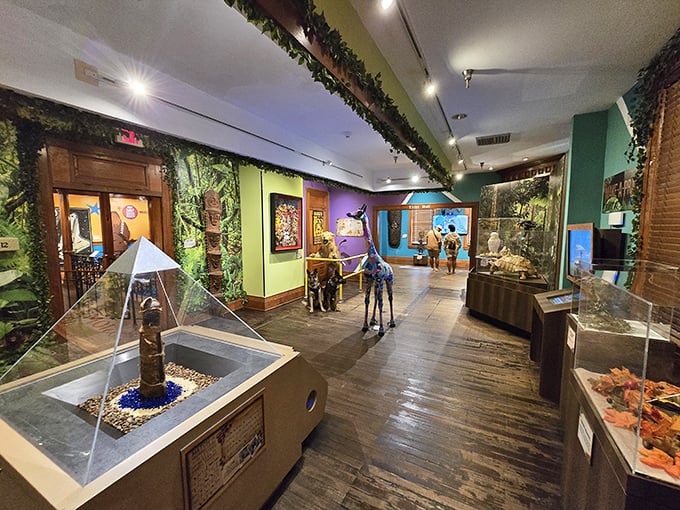 Step inside and reality takes a vacation. Colorful walls and exotic displays beckon you into Ripley's wonderland of oddities.