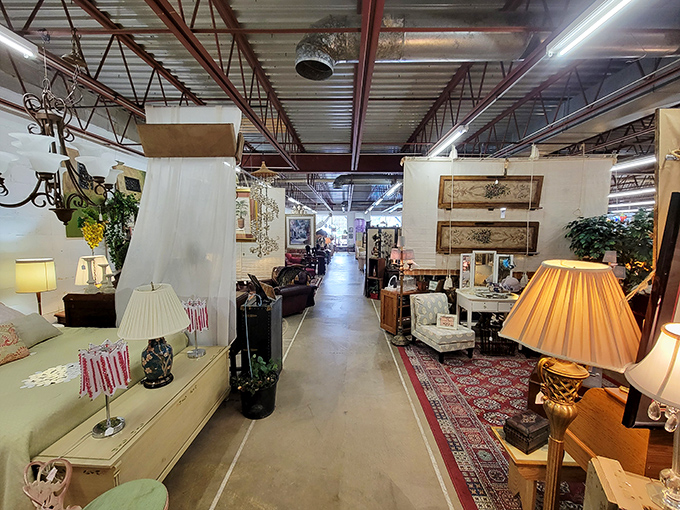 The yellow brick road of furniture shopping. Wide aisles guide you through carefully curated sections where yesterday's treasures become tomorrow's conversation pieces.