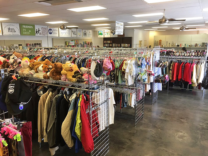 A wonderland of possibilities awaits inside, where clothing racks stretch toward the horizon and stuffed animals find temporary homes.
