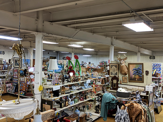 Step inside and the treasure hunt begins! Aisles stretch into the distance like a time-traveler's bazaar where every decade has sent its representatives.