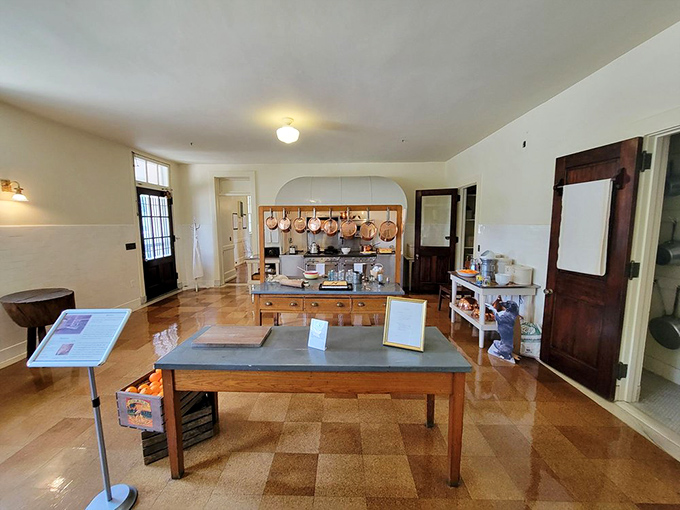 A kitchen that could feed a small army, with copper pots hanging like medals of culinary honor. 