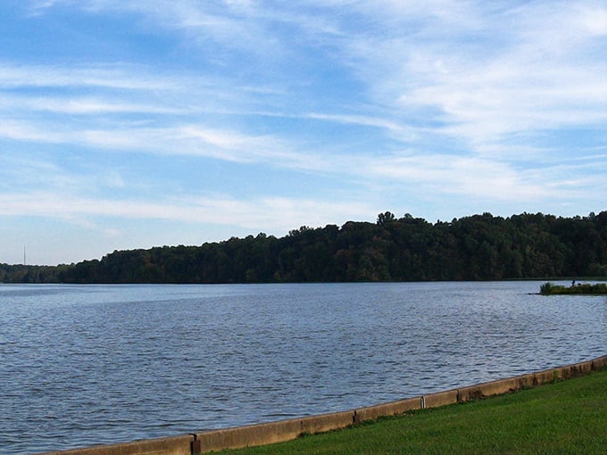 The lake stretches toward the horizon, bordered by trees that stand like silent sentinels guarding this slice of Ohio paradise.