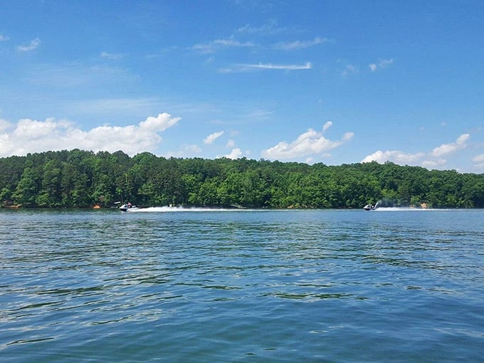 Lake Hartwell isn't just a body of water&mdash;it's Anderson's 56,000-acre playground. Nothing says "retirement well spent" like watching boats zip across waters that sparkle like diamonds.
