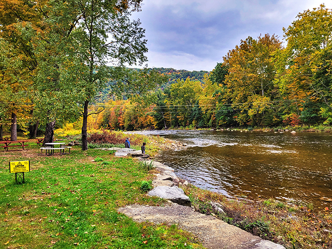 Mother Nature frames her masterpiece with autumn colors that make Instagram filters look like amateurs. Pennsylvania showing off again.