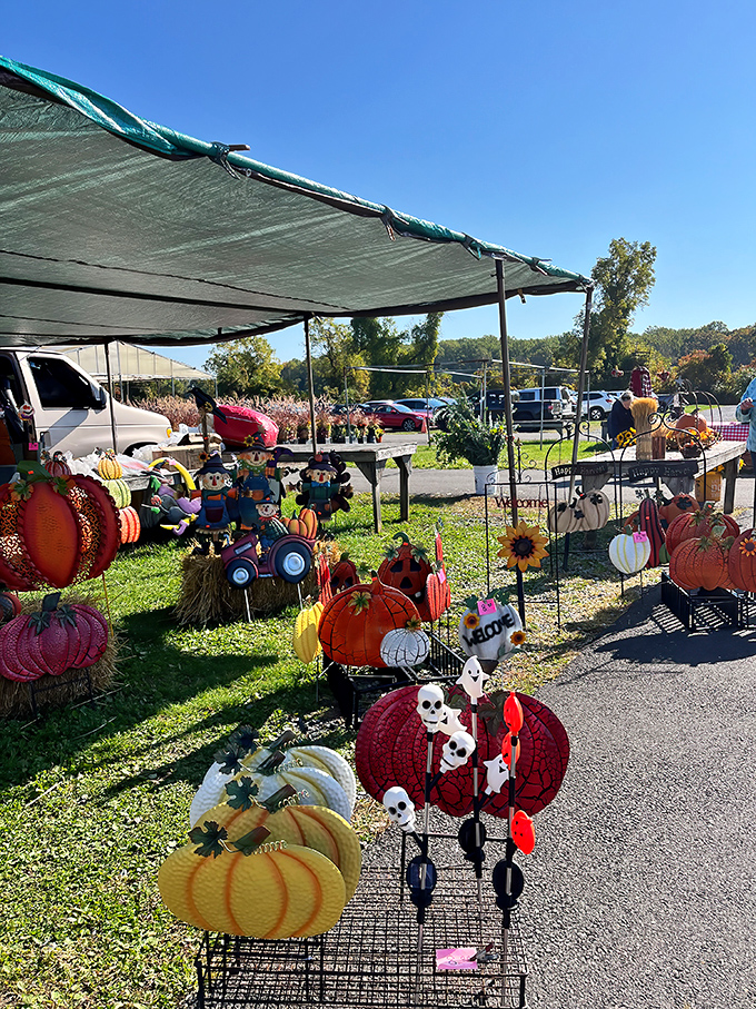 Fall decorations that scream "my porch is ready for Instagram!" These colorful pumpkin-themed creations bring autumnal cheer without the mess of actual carving.