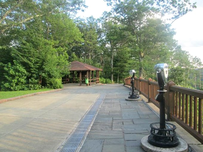 Where else can you find viewing platforms with vintage-style telescopes overlooking lush Pennsylvania wilderness? This Pennsylvania spot delivers postcard-worthy moments year-round.