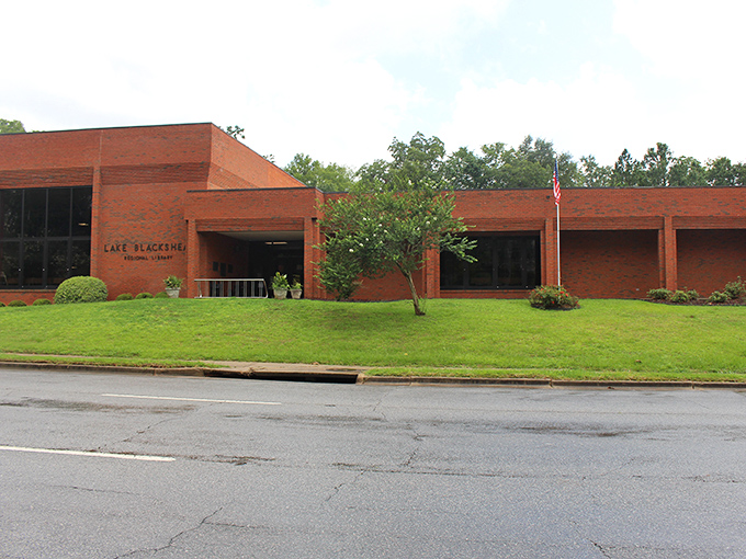 The Lake Blackshear Regional Library isn't just about books&mdash;it's a community hub where retirees find both intellectual stimulation and new friends.