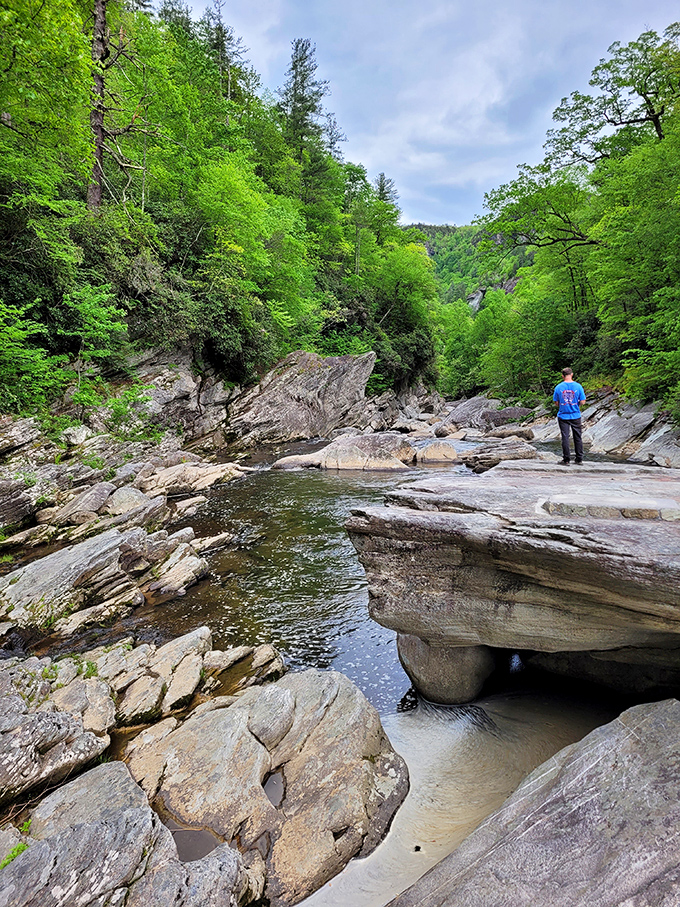 The Linville River carved this masterpiece over millions of years. Mother Nature's patience puts our instant gratification culture to shame.