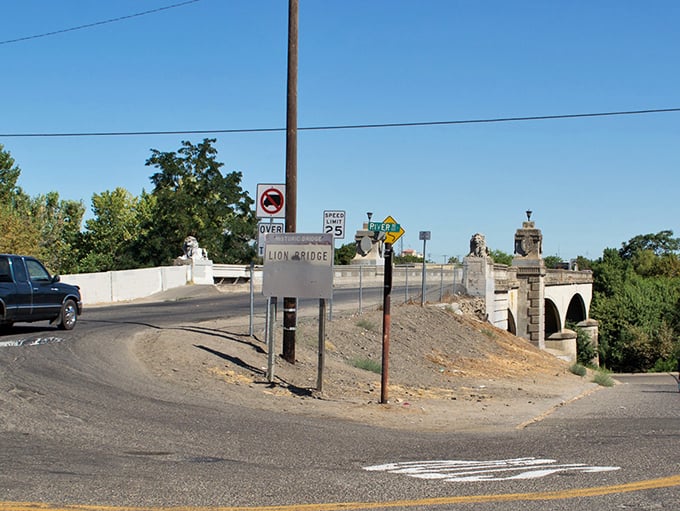 Lion Bridge, with its stately stone pillars and historic significance, offers a picturesque crossing that connects Modesto's past with its present.