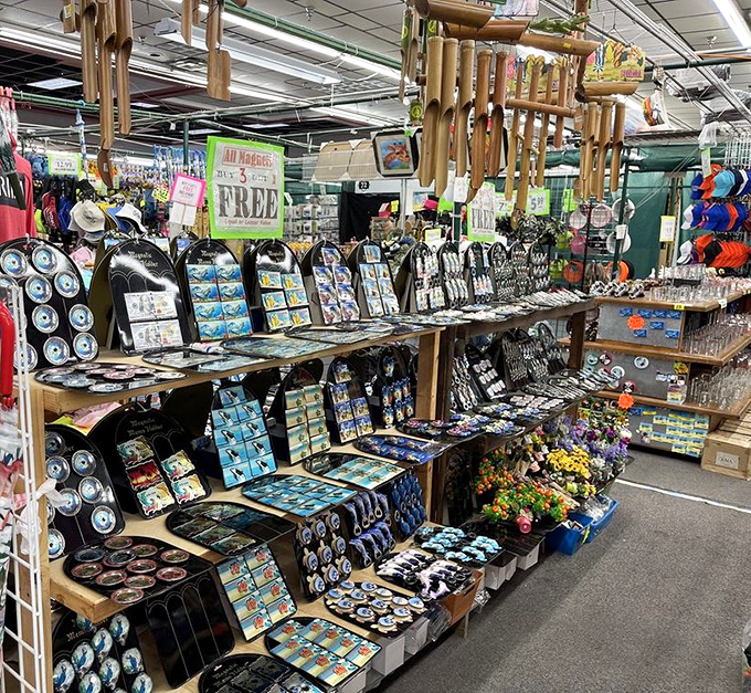 Souvenir magnets that tell the world, "Yes, I've been to Florida, and I have the tiny decorative proof right here on my refrigerator!"
