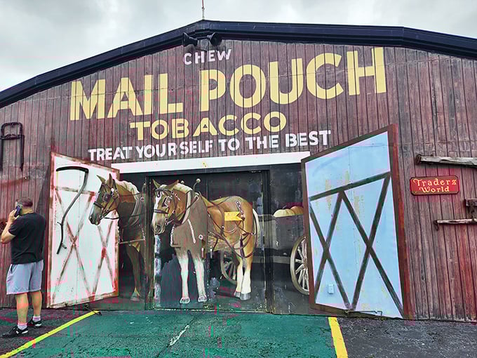 This Mail Pouch Tobacco display captures America's advertising golden age. The horse looks so lifelike you'll wonder if it needs feeding between photo ops.