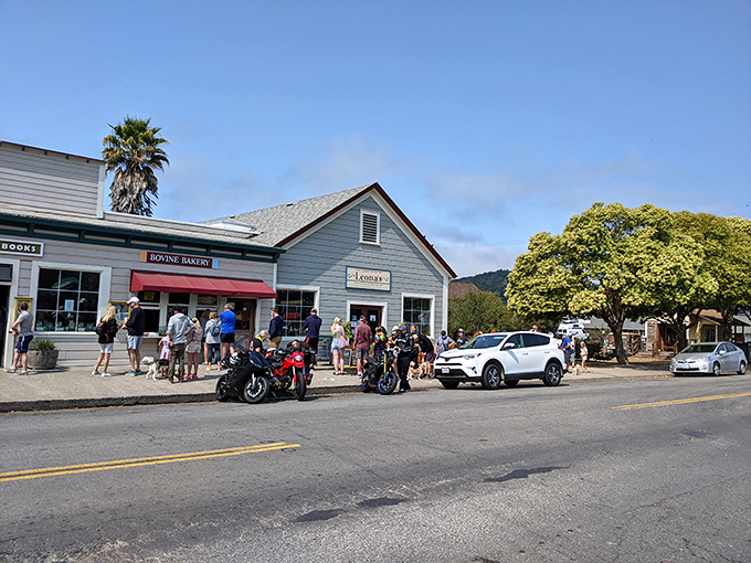 Bovine Bakery draws crowds like a Hollywood premiere, except here the stars are morning buns and the red carpet is dusted with flour.