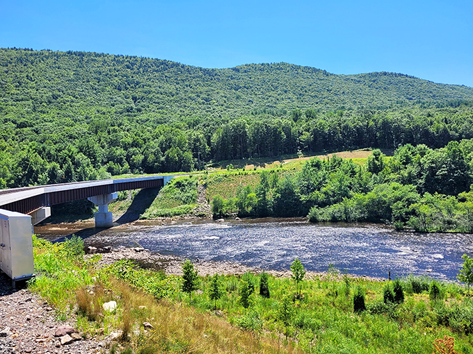 Mother Nature's masterpiece unfolds as the Lehigh River carves its ancient path through the mountains, a view that no filter could possibly improve.